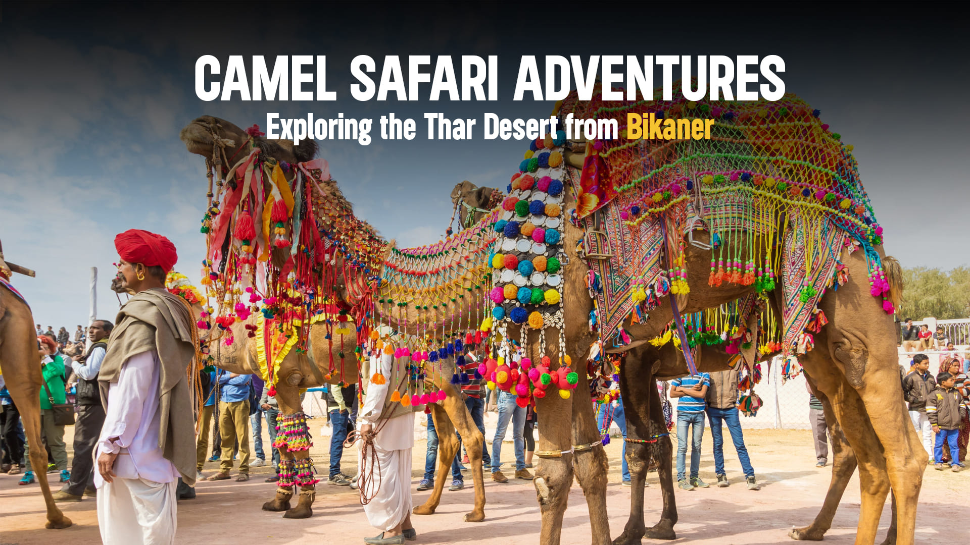 Camel Safari Adventures: Exploring the Thar Desert