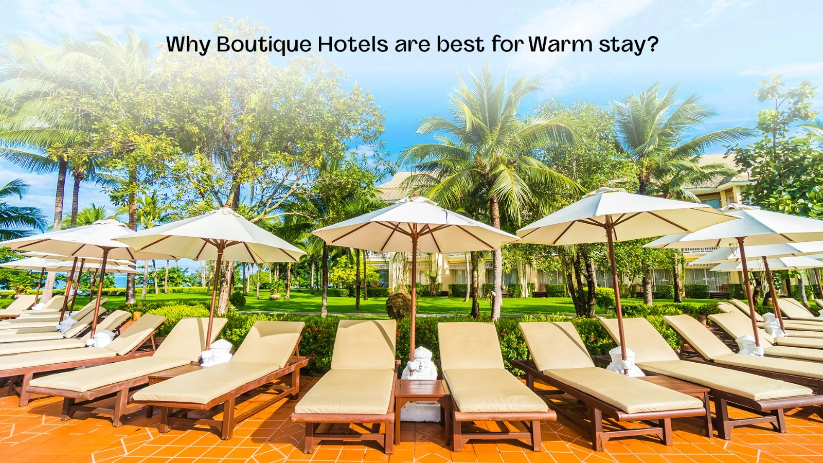 Why Boutique Hotels are best for Warm stay?
